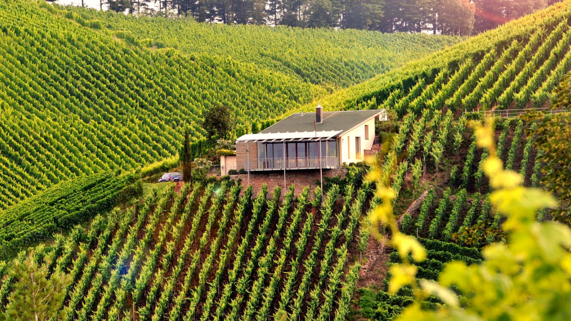 Durbacher / die Steillagen Spezialisten - Durbacher